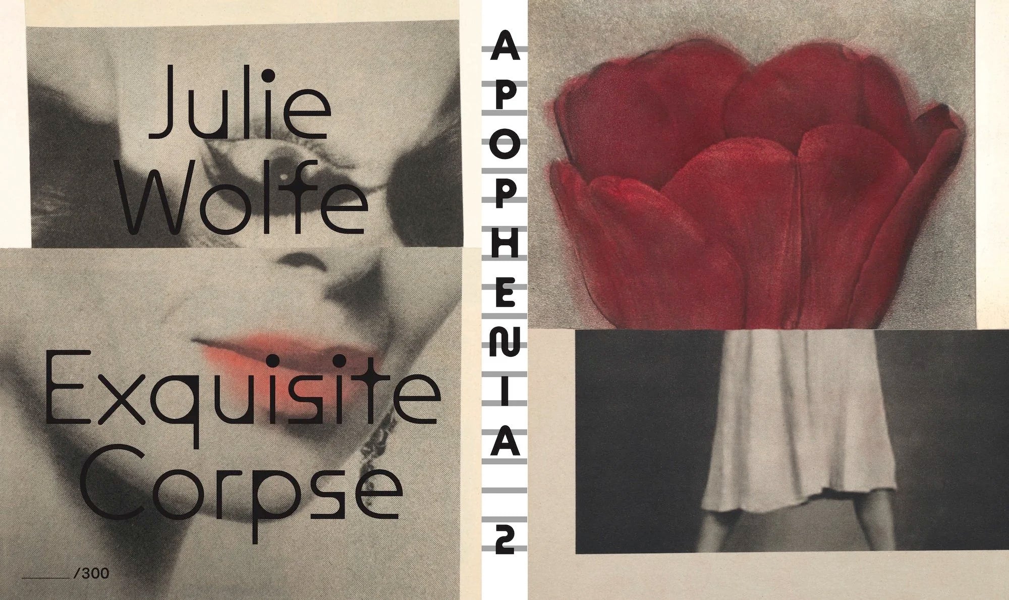 Apophenia Volume 02: Exquisite Corpse by Julie Wolfe – Good Together House
